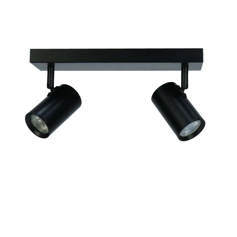 Momentous Living - Aster Modern 2-Light Flush Ceiling Spot Track Light ...