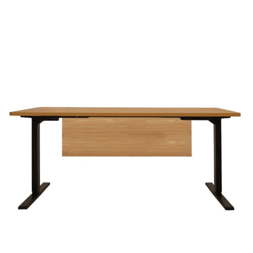 Momentous Living - Lavery Electric Height Adjustable Office Desk ...