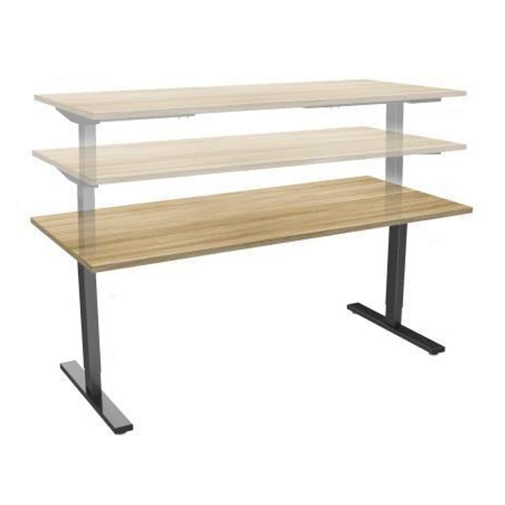 Momentous Living - Xavier Sit Stand Electric Height Adjustable Computer ...